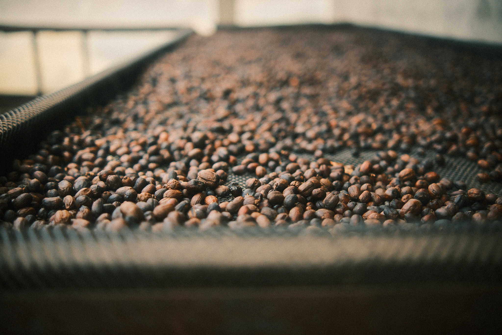 Coffee Processing: What Is It? | Zest Coffee